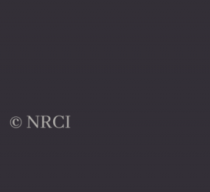 Our Company | NRCI